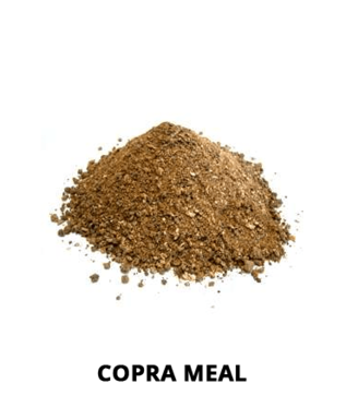 Desiccated Coconut - Copra Meal | B2Brazil